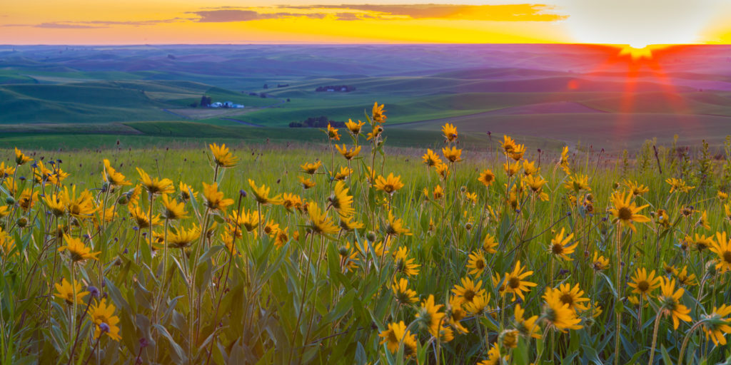 Homage - Team399 With Jack Bayles