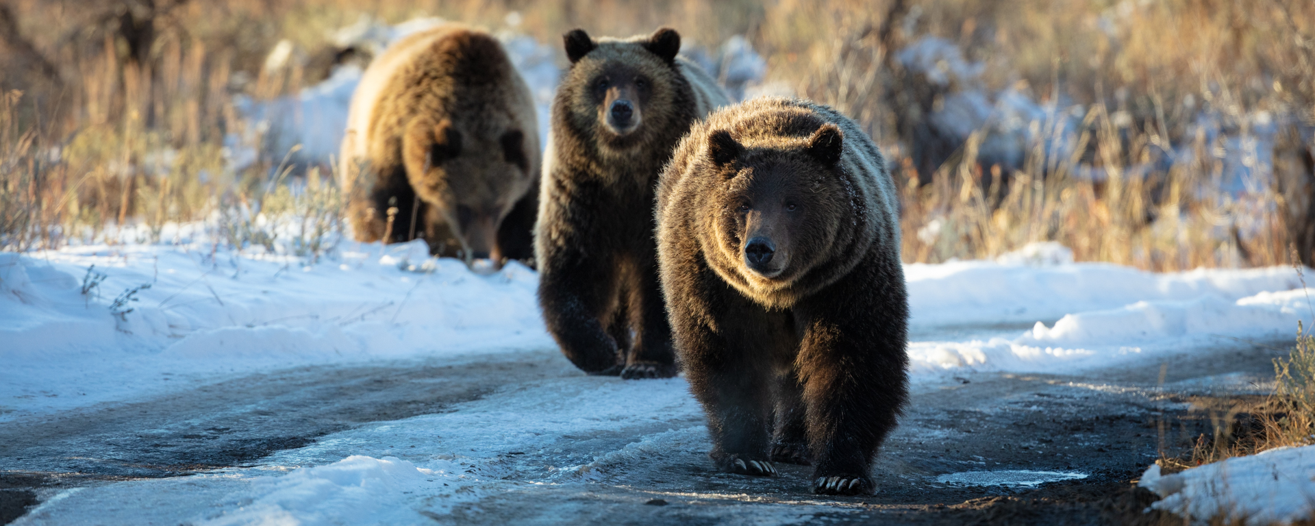 About - Team399 With Jack Bayles