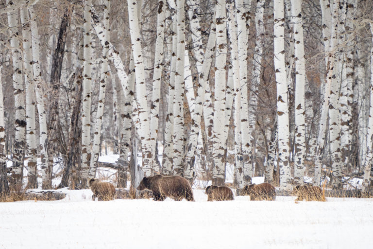 View All Archives - Team399 With Jack Bayles