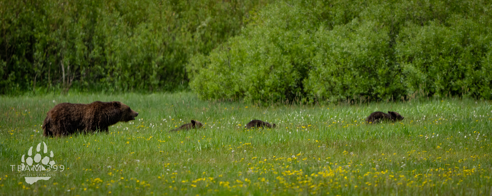 They Grow Up So Fast - Team399 With Jack Bayles